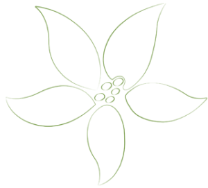 Menus | The Clementine Cafe